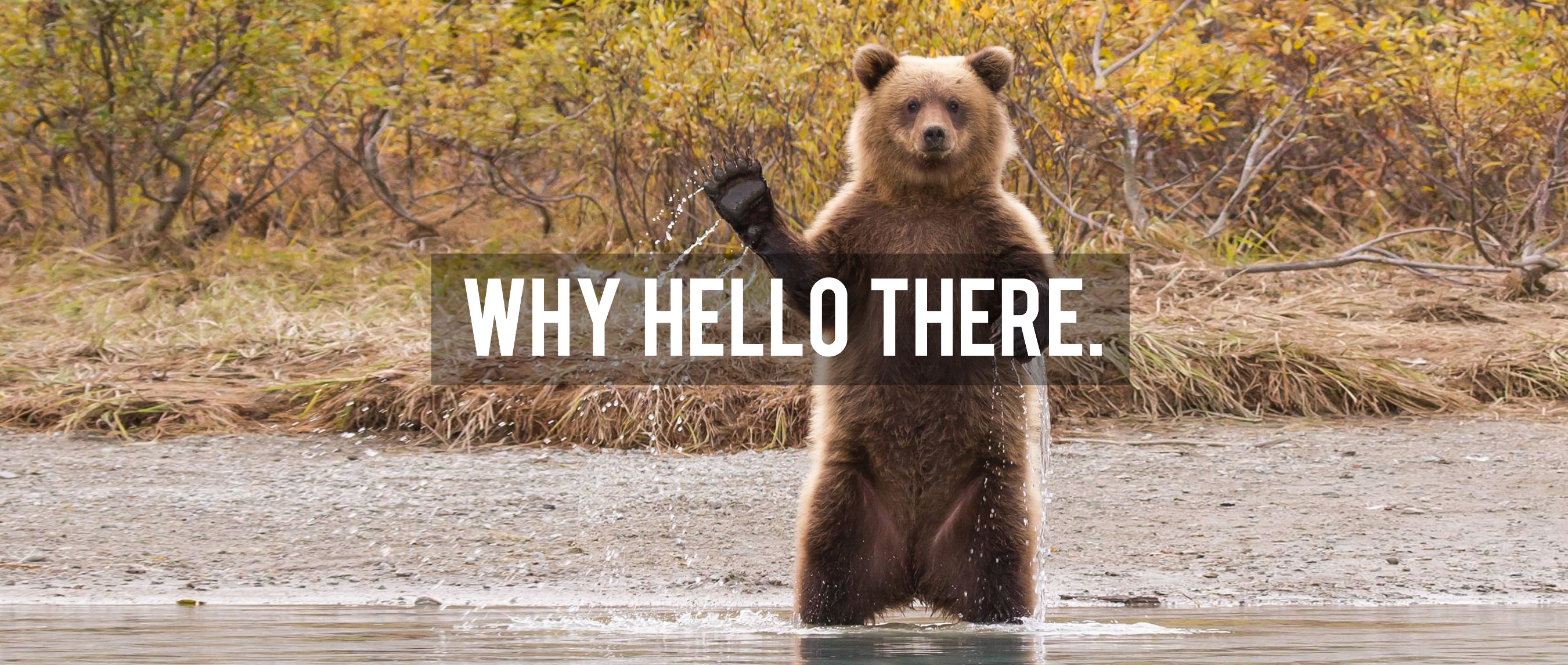 Pinpoint Merchandising