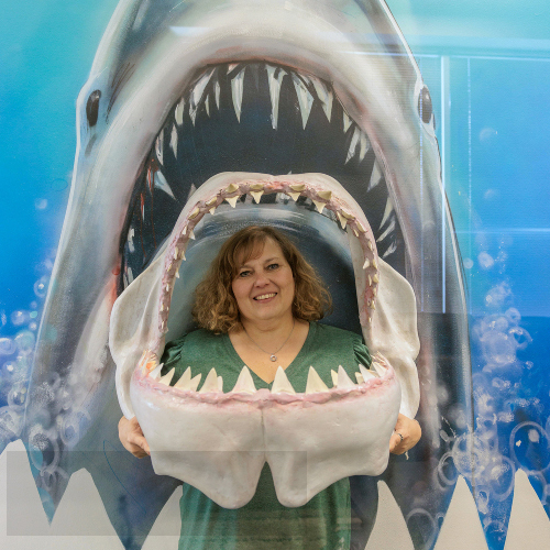 Pinpoint Merchandising